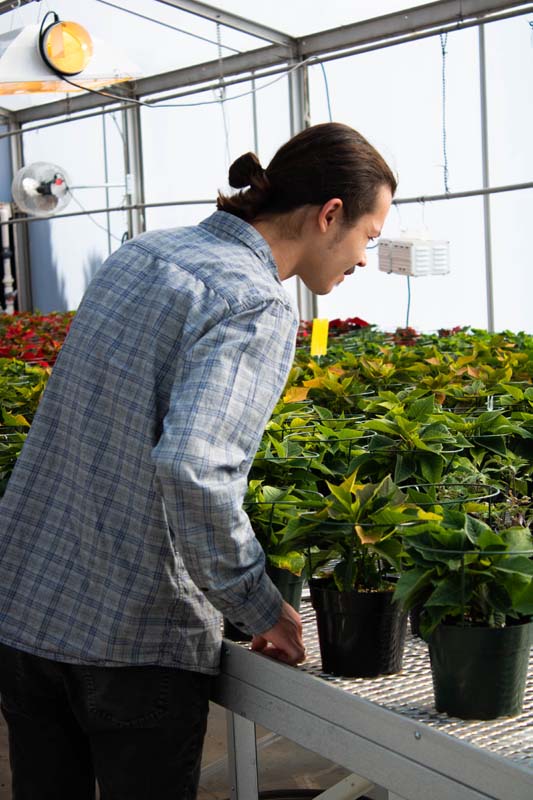 Urban Horticulture & Landscape Management Program in Aurora