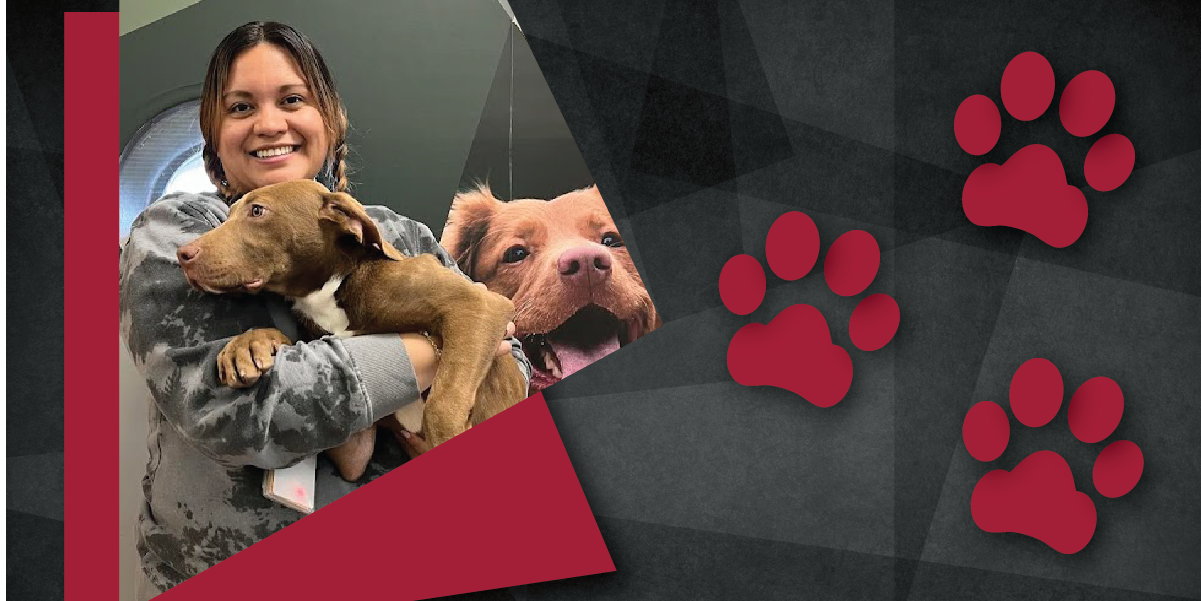 Addy Martinez: An Inspirational Journey